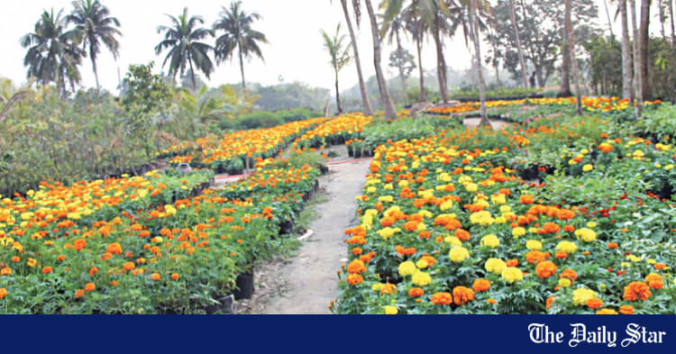 How a mother’s love took a nursery to astounding heights | The Daily Star