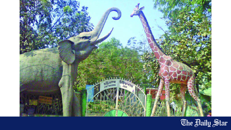 Ctg zoo welcomes Chitra fawn | The Daily Star