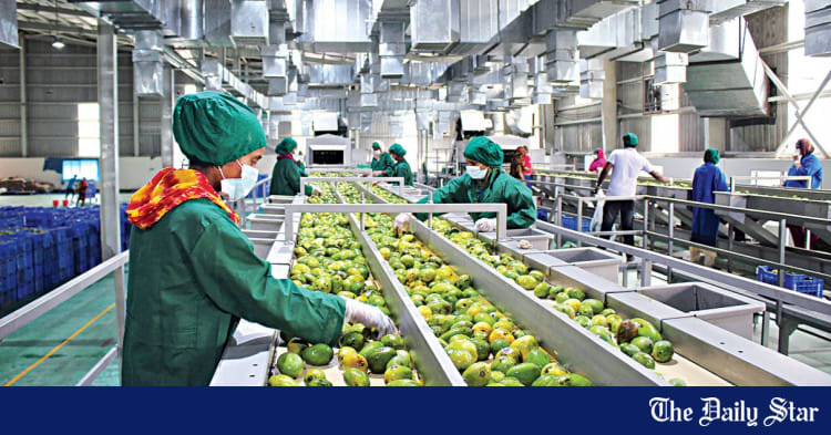 Agro-based entrepreneurs getting support from US volunteer experts ...