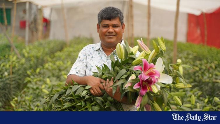 Lily cultivation may change farmers’ fortune | The Daily Star