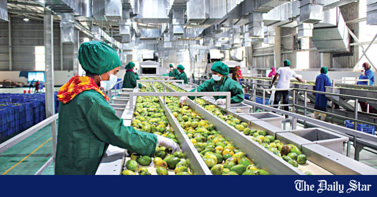 Investment proposals in agro-processing on the rise: PM’s adviser | The ...