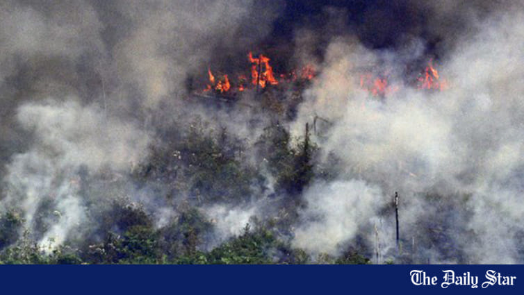 Why is part of the Amazon burning? | The Daily Star