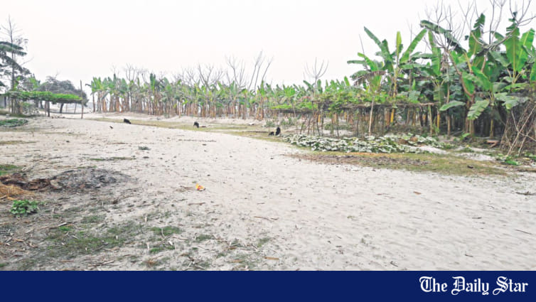 Flood turns arable land sandy | The Daily Star