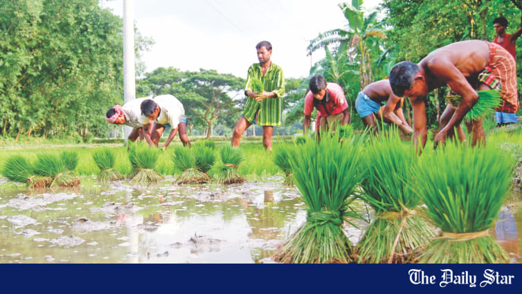 Now BB takes pity on farmers | The Daily Star