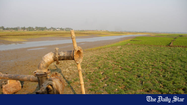 Drying of river hampers Boro farming in B'baria | The Daily Star