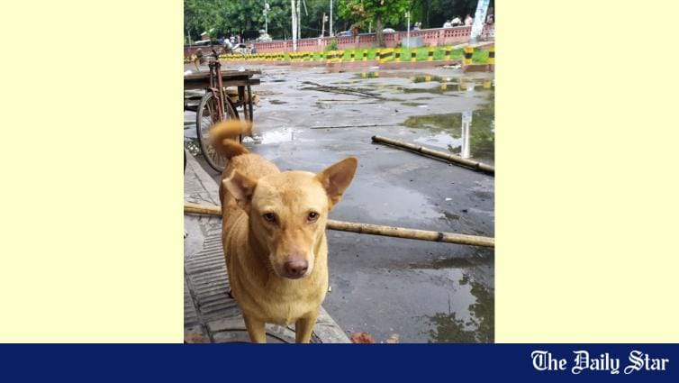 Where is Buru? | The Daily Star