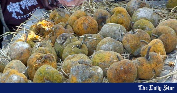 Indigenous 'chambol' needs protection | The Daily Star