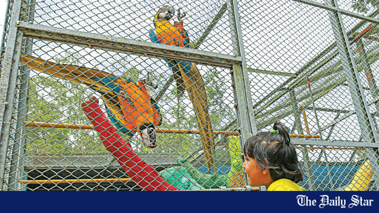 Recreational Sites in Ctg: Visitors scarce upon reopening | The Daily Star