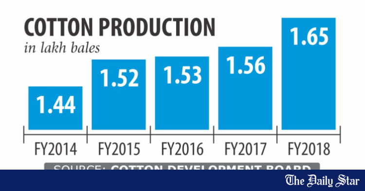 Steps underway to boost cotton yield | The Daily Star
