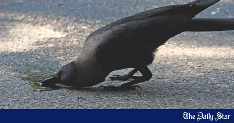 No load shedding in Bangladesh despite heat wave | The Daily Star