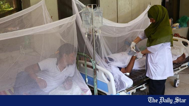 Australian scientists make breakthrough on preventing spread of dengue ...