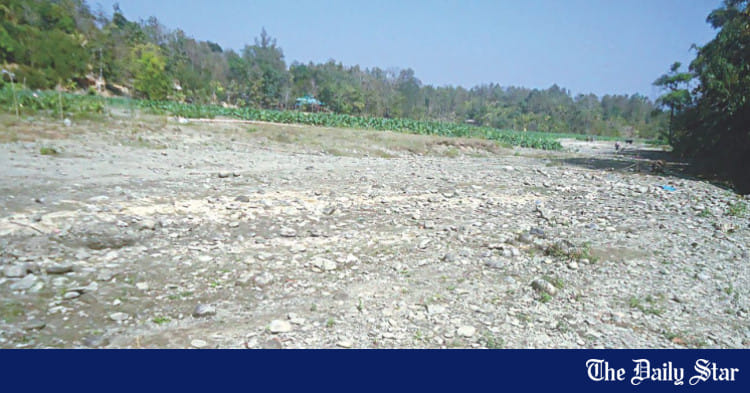 Destruction of forests, stone theft send hill creek to death throe ...