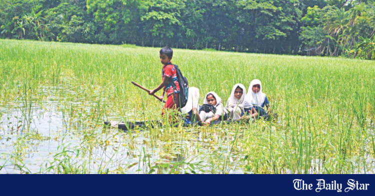 Donga only means | The Daily Star