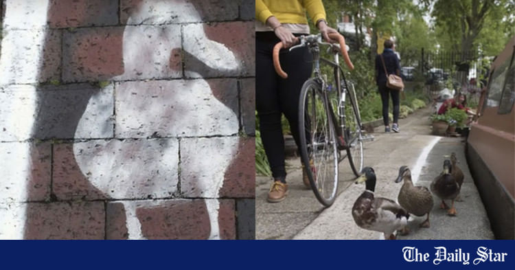 Britain’s new ‘duck lane’ | The Daily Star
