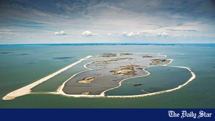 Dutch build islands to bring wildlife back | The Daily Star