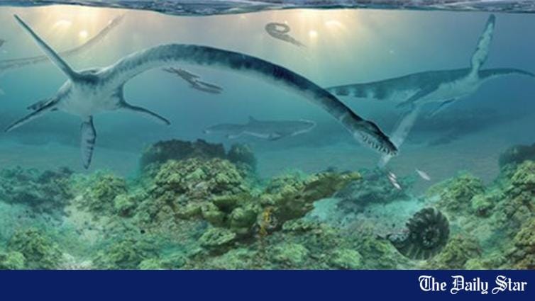 Ancient reptile with 'extremely long neck' unearthed in Alaska | The ...