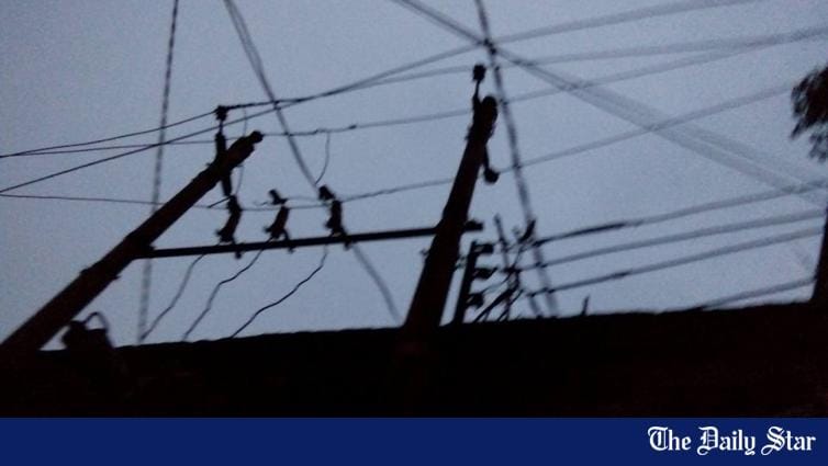 3 of a family electrocuted in capital