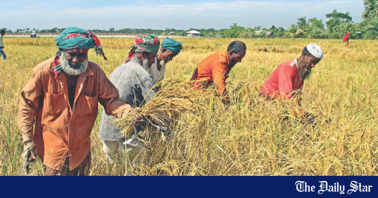 Farmers can apply for loans online | The Daily Star