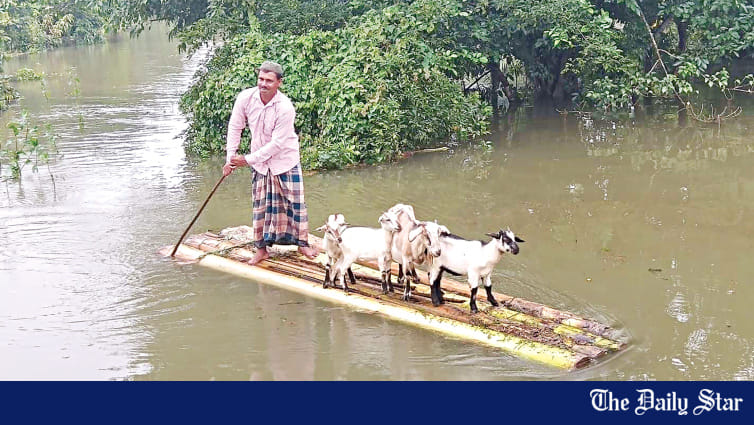 Flood strikes twice | The Daily Star
