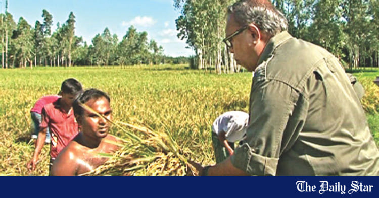 Four crops a yr, boon for farmers | The Daily Star