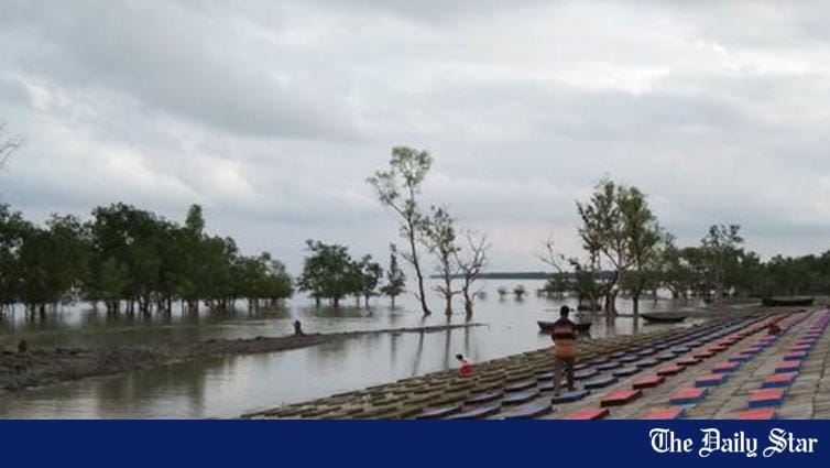 Neelima Point: An oasis by the Bay | The Daily Star