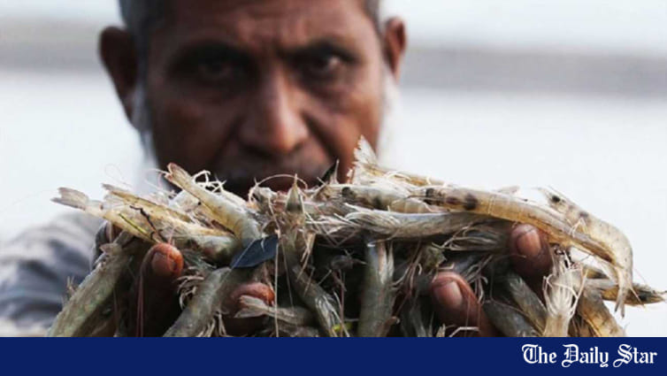 The many faces of adaptation | The Daily Star