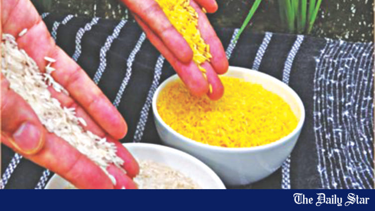 World's first 'Golden Rice' ready for trial | The Daily Star
