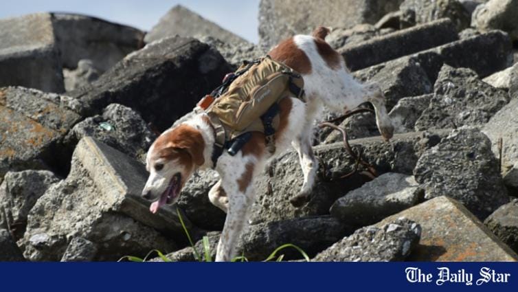 Japan 'robo' dogs eyed for quake rescue missions | The Daily Star
