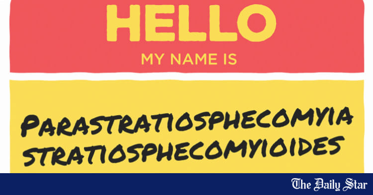 Weird animals with even weirder names | The Daily Star