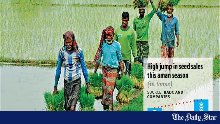 Higher paddy prices have left seed sellers beaming | The Daily Star