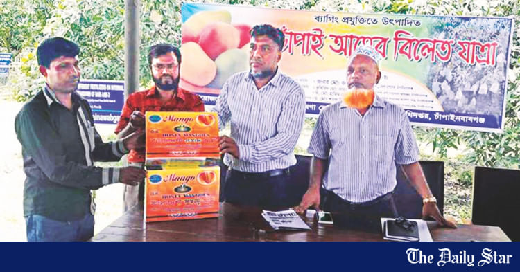 Himsagor mangoes now going to UK | The Daily Star