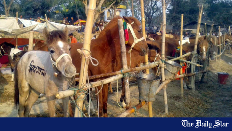 Month-long traditional horse fair ends | The Daily Star