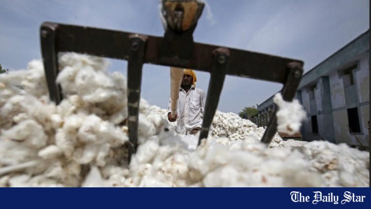 Cotton import to reach record high | The Daily Star
