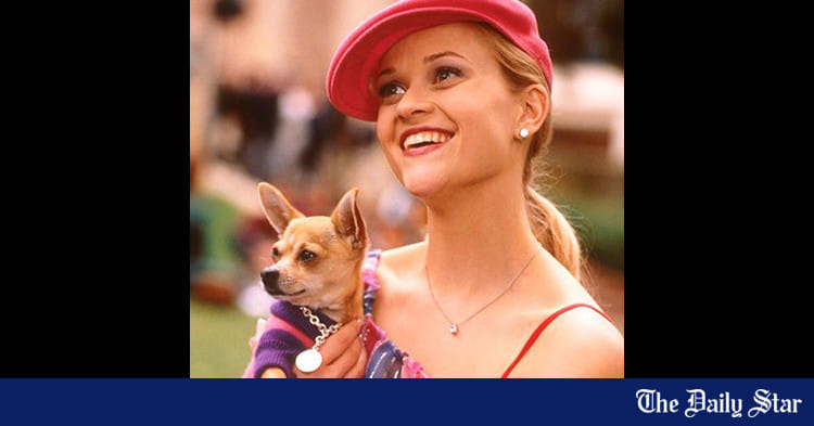 'Legally Blonde' Dog Bruiser Woods Dies | The Daily Star