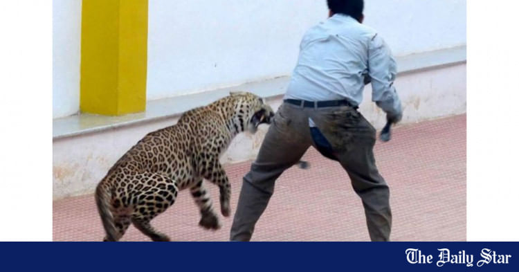 India school mauling leopard escapes | The Daily Star