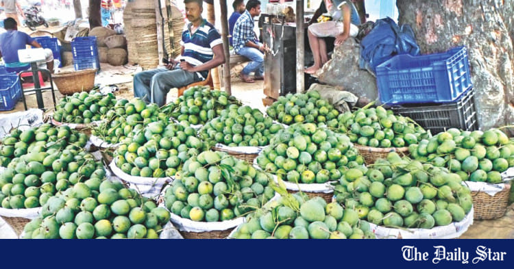 Mango hub looks dull | The Daily Star