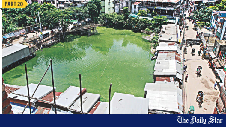 Struggling to survive | The Daily Star