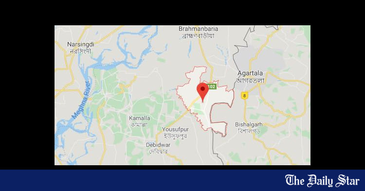 Indian buffalo romps into Bangladesh territory, kills woman | The Daily ...