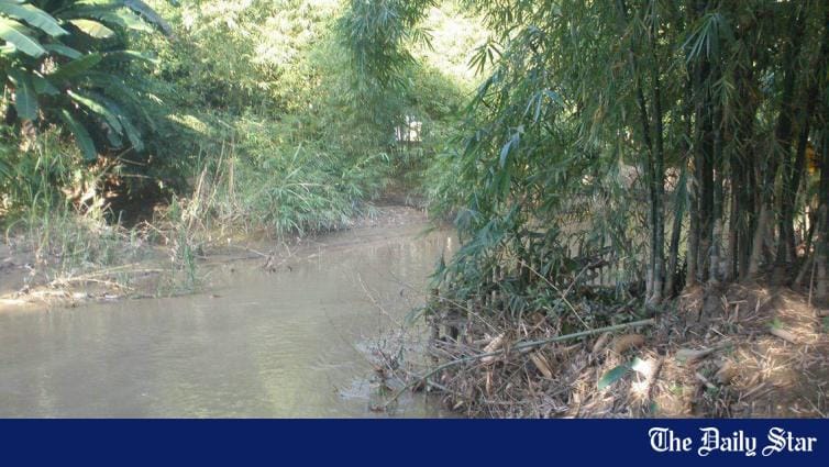 Lula river dying | The Daily Star