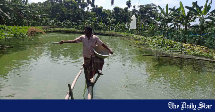 Once broke, Naren gains solvency by fish farming | The Daily Star