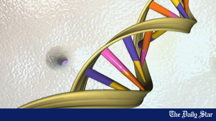 Scientists identify gene that makes people look older than age | The ...