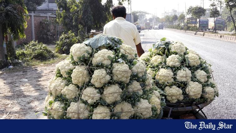 STAR Day at a Glance | Friday, November 23, 2018 | The Daily Star