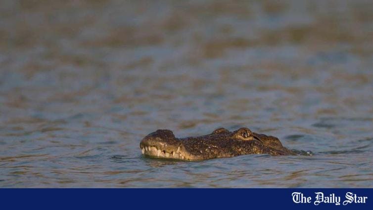 STAR Day at a Glance | Wednesday, December 19, 2018 | The Daily Star