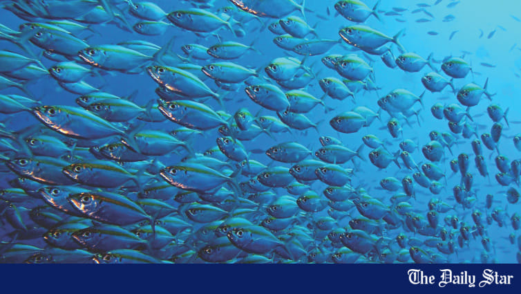 Oceans running out of oxygen | The Daily Star