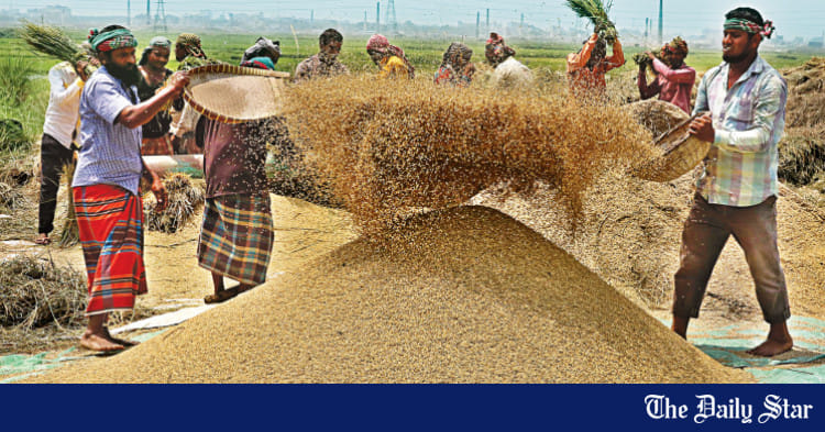 Display lists of farmers selected to sell paddy at offices: Food ...