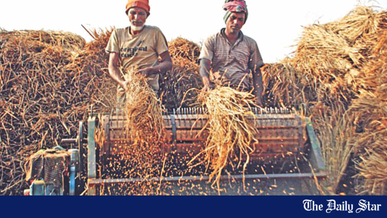 Starving those who save us from hunger | The Daily Star