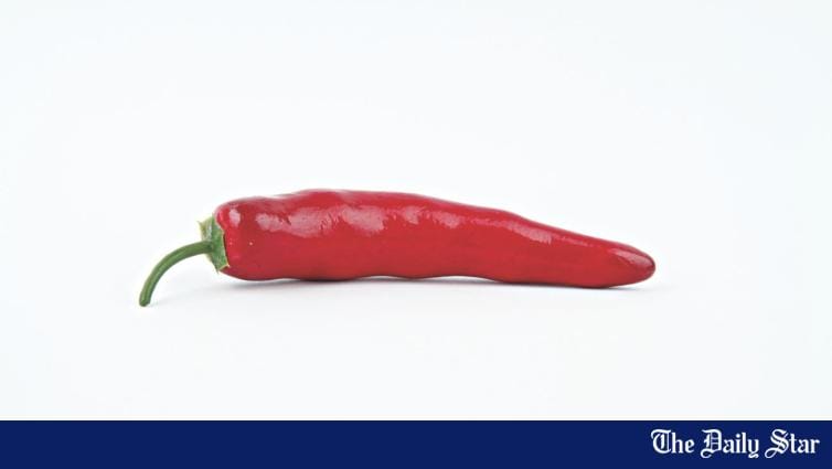 Pepper Trigger | The Daily Star
