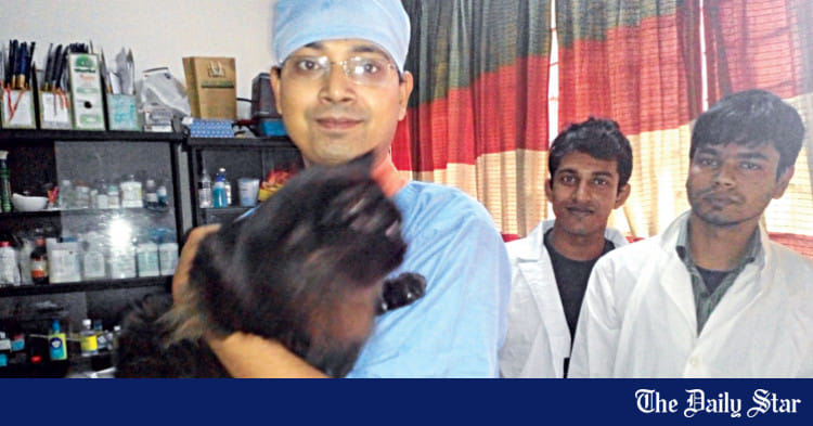 Pets and their health | The Daily Star