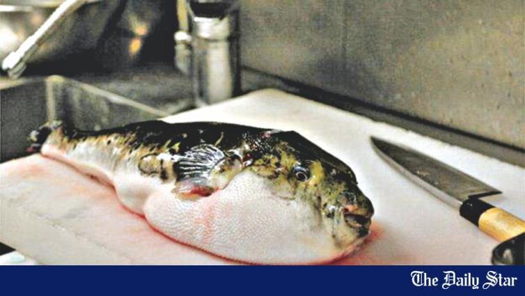 Caution: Puffer fish poisoning and few deaths | The Daily Star