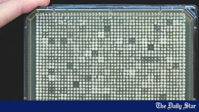 QUIRKY SCIENCE | The Daily Star